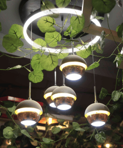 #1 Best Interior Design Company - MM Design Studio